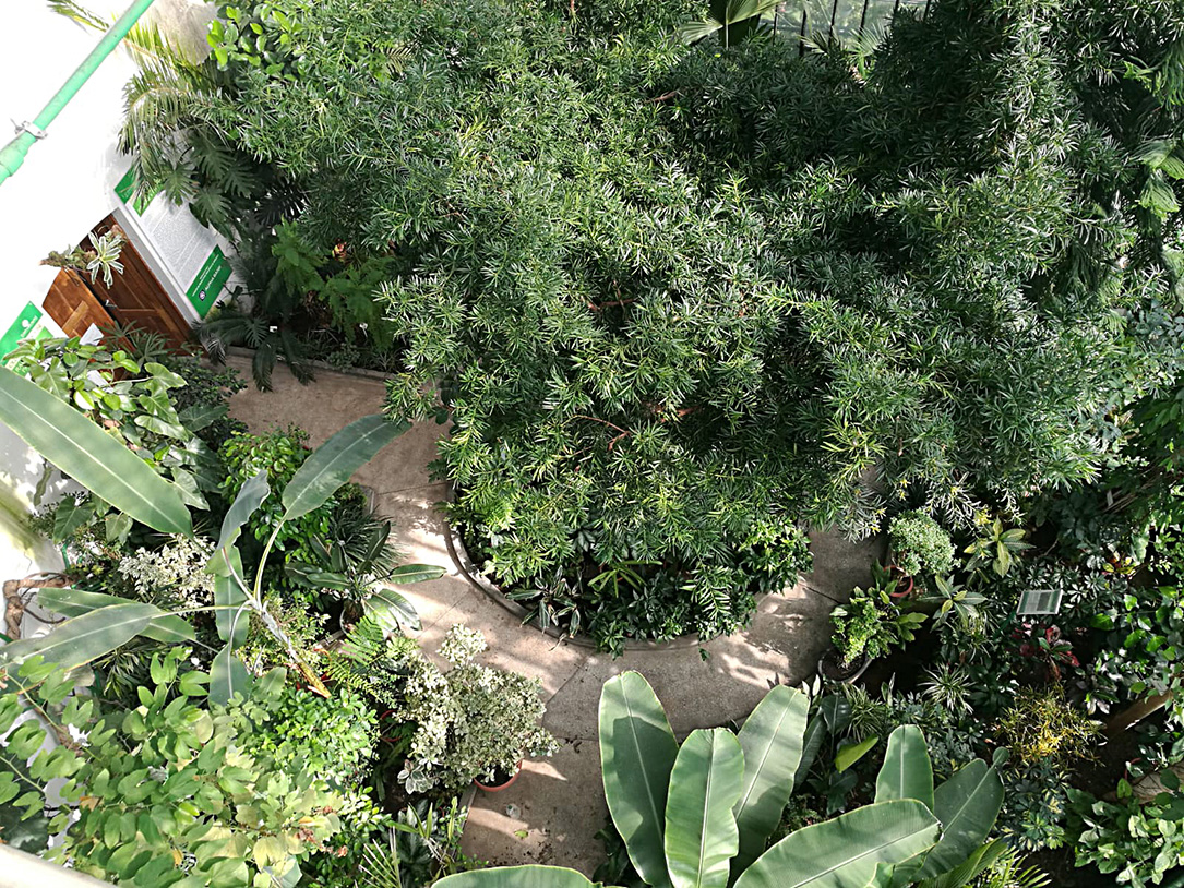 In Perspectiva - Interviuri si puncte de vedere.