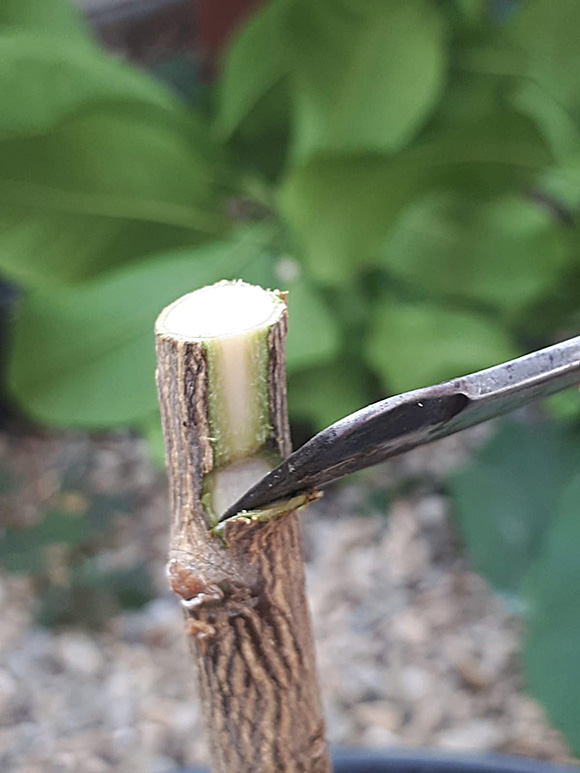 In Perspectiva - Interviuri si puncte de vedere.